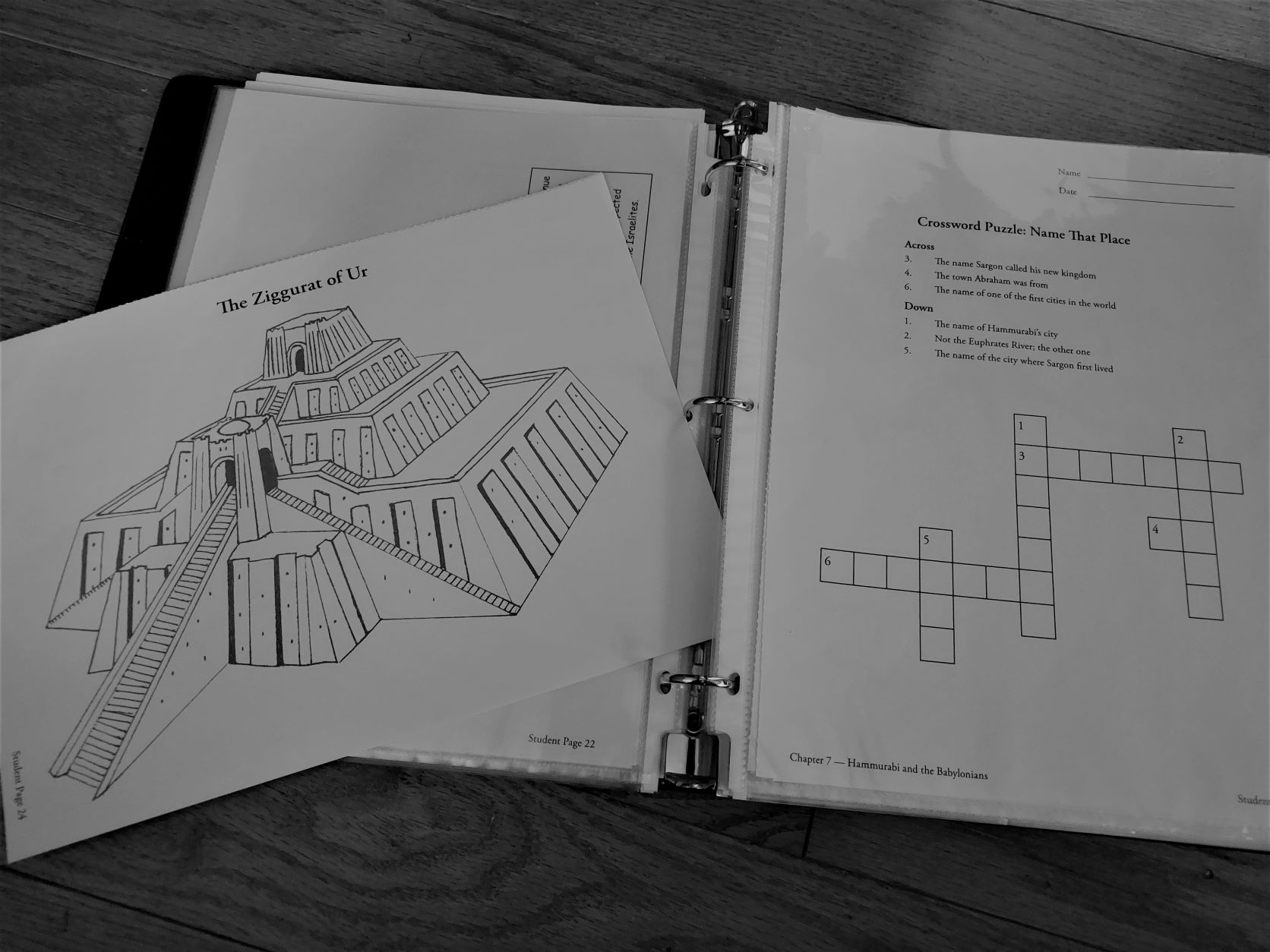 How to Use Story of the World History Curriculum - Surviving At Home