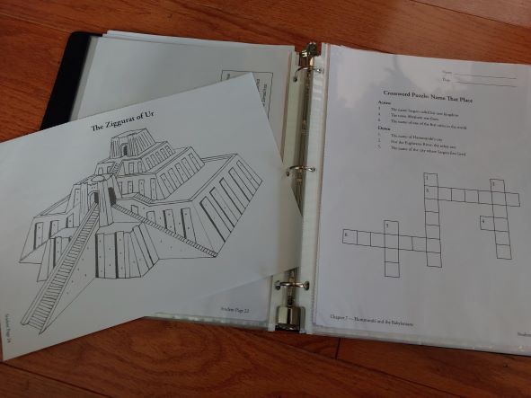 How to Use Story of the World History Curriculum - Surviving At Home